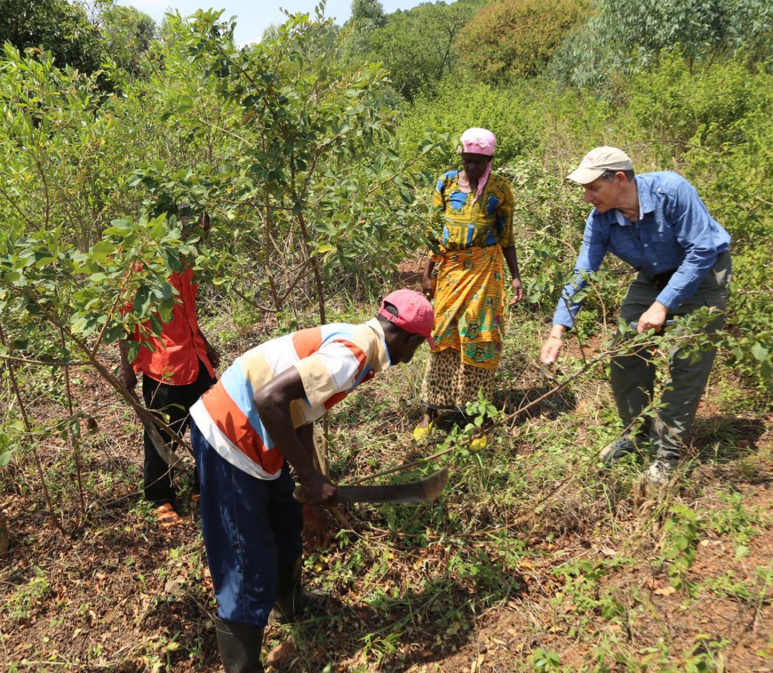 Tony Rinaudo, el australiano que ayudó a transformar el desierto ...